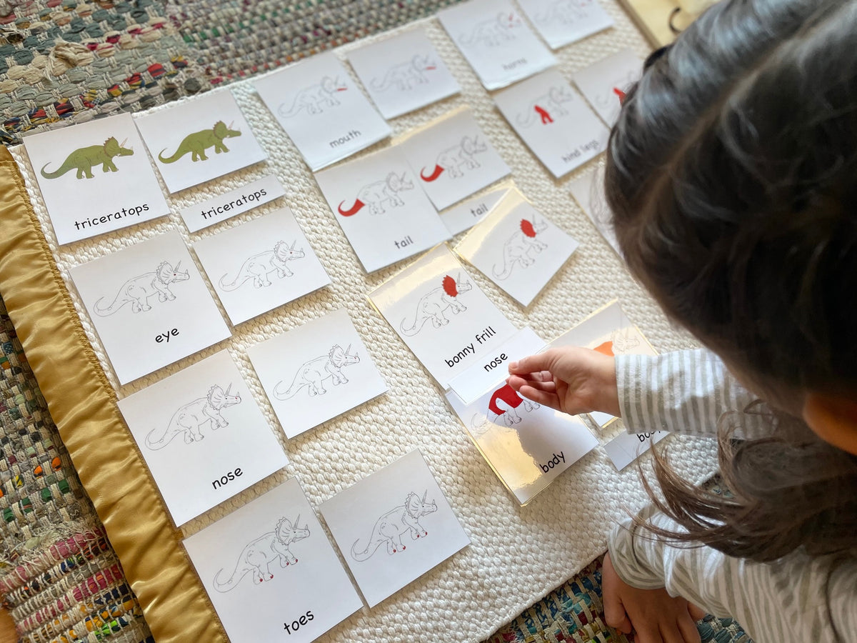 Nomenclature Cards DIY - PDF Download – Pink Block - Montessori ...