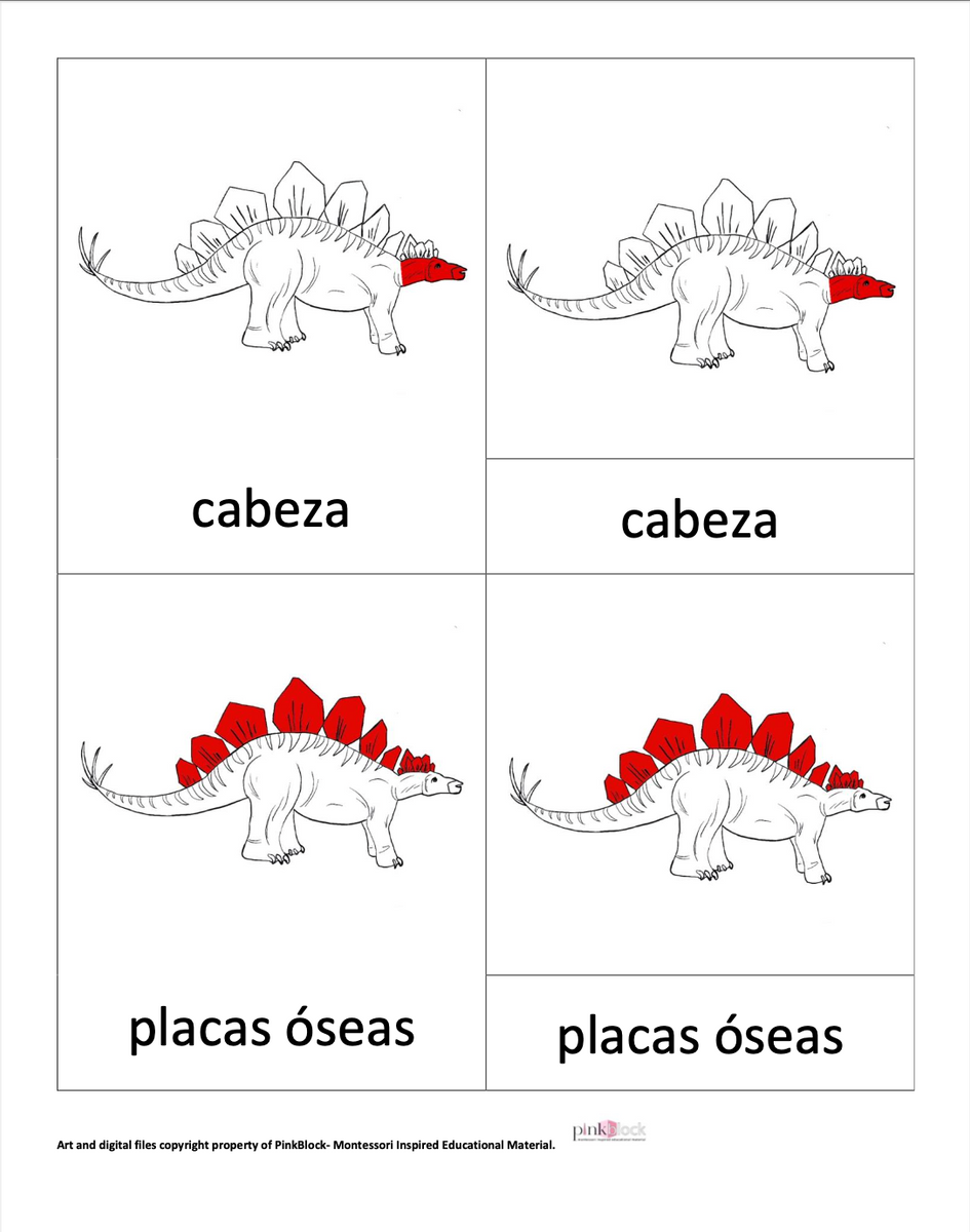 SPANISH - Nomenclature Dinosaur Cards Bundle - 5 Card bundle – Pink ...